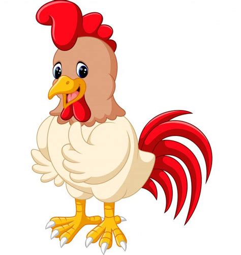 Gallo Animado