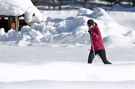 어퍼 오스트리아 남쪽의 겨울 원더랜드 고사우는 크로스컨트리 스키의 천국입니다 European Capital Of Culture에 대한 스톡 사진 및 기타 이미지