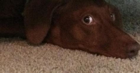 Trouble Making Imgur