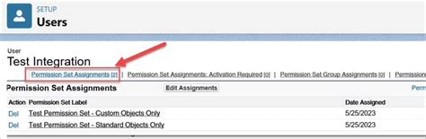 How To Use The New Salesforce Integration User Licenses