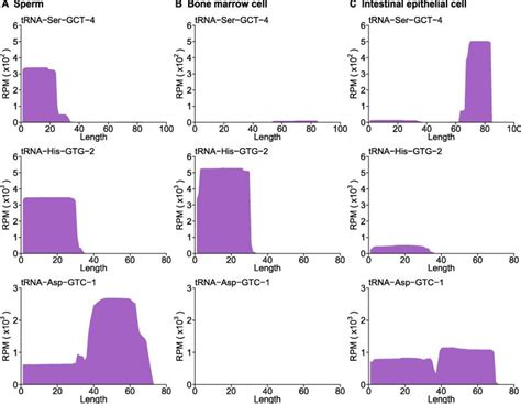 Sports10 A Tool For Annotating And Profiling Non Coding Rnas Optimized For Rrna And Trna