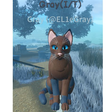 Possible New Npc Fandom