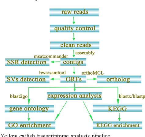 Figure 1 From Call For Papers Nextgen Sequencing Technology Based Dissection Of Physiological