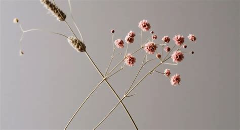 Socio Spatial Theory → Term