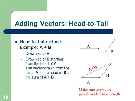 Head And Tail Of Vector At Collection Of Head And