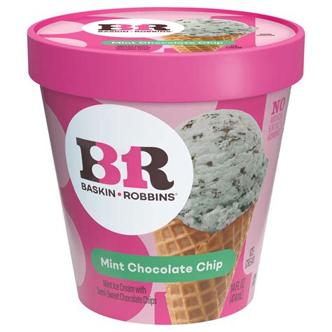 Baskin Robbins Mint Chocolate Chip Ice Cream Main