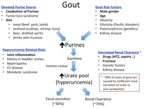 Gout Nurses Revision