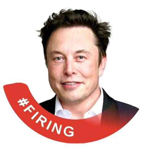 Lazy Programmer On Linkedin Welcome Back Elon 😂