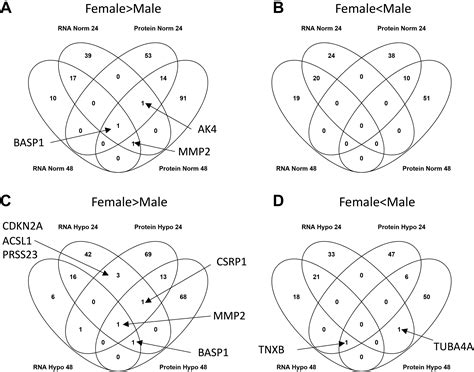 Transcriptomics And Proteomics Revealed Sex Differences In Human