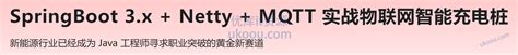 SpringBoot 3 x Netty MQTT 实战物联网智能充电桩已完结 优库IT资源网