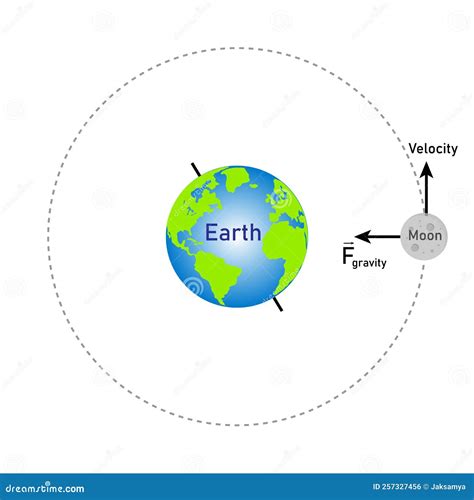 The Moon Moves In A Circular Orbit Around Earth Diagram Vector Illustration On White Background