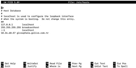 Opening Fiori Launchpad With Transaction Code Ui2flp Via Hosts File