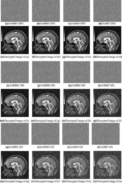 Cipher Images And Decrypted Images Under Spn Sn And Gn With Different Download Scientific