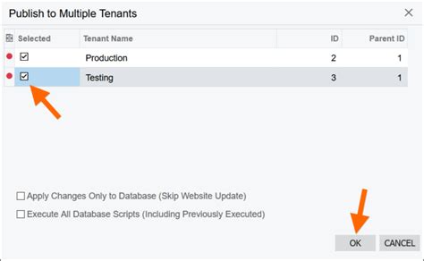 publishing an acumatica customization project