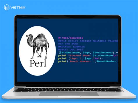 Perl Là Gì Ngôn Ngữ Lập Trình Perl Có ứng Dụng Gì