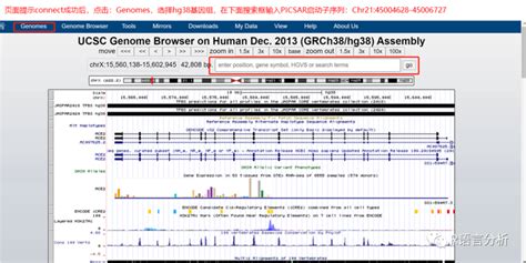 通过启动子序列预测转录因子使用教程 黄灿华教授 实验室