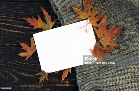 단풍과 도토리가 니트 담요에 쓰러진 나뭇잎과 도토리가 있는 가을 배경의 흰색 빈 카드 모형 10월에 대한 스톡 사진 및 기타 이미지 Istock