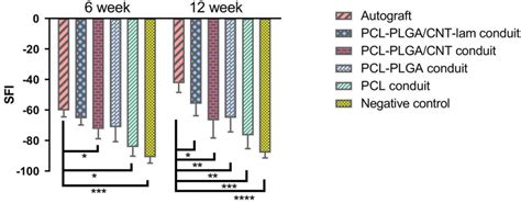 Sciatic Nerve Functions Of Rats As A Function Of Implantation Time The Download Scientific