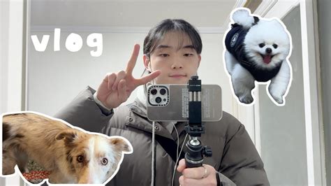일상 브이로그 쉬는 날 자취생의 하루 강아지 천국 Youtube