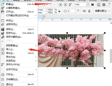 使用coreldraw来制作简易门票 Coreldraw中文网站