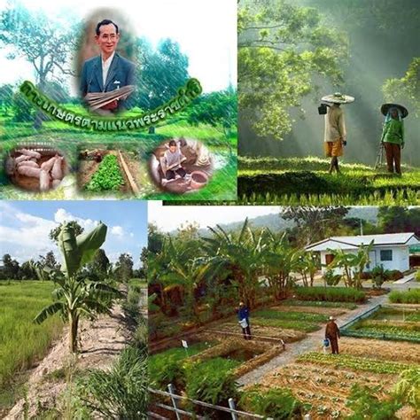 เกษตรผสมผสานเศรษฐกิจพอเพียง Ayutthaya