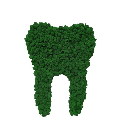 Dinte Din Licheni Narium