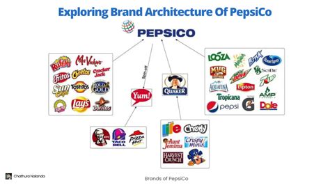 Exploring The Brand Architecture Of Pepsico