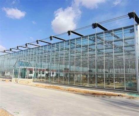 玻璃温室和薄膜连栋温室及阳光板温室等温室大棚工程建设 青州市国聚温室材料有限公司 玻璃温室和薄膜连栋温室及阳光板温室等温室大棚工程建设 青州市国聚温室材料有限公司