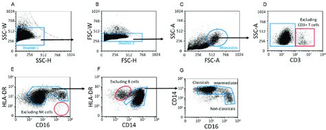 Flow Cytometric Analyses For Determination Of Monocyte Subpopulations Download Scientific