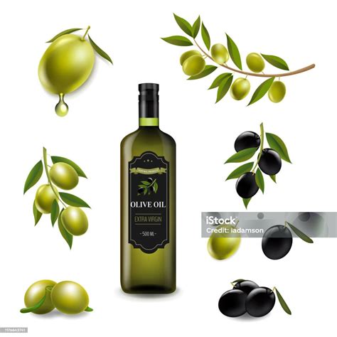 큰 세트 와 분기 올리브 과 버진 올리브 오일인 유리 병 흰색 배경 과일에 대한 스톡 벡터 아트 및 기타 이미지 과일 나무 농업 Istock