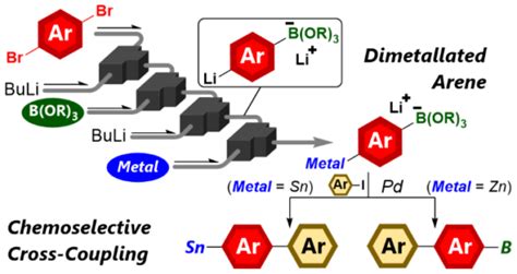Generation Of Bimetallic Arenes And Their Metal Selective Cross Coupling 株式会社flowfrontier