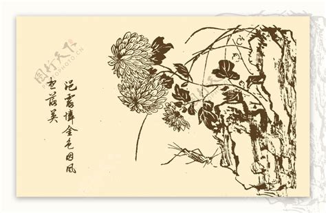 芥子园画谱花卉图片素材 编号16242269 图行天下