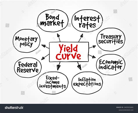 Yield Curve Line That Plots Yields Stock Vector Royalty Free
