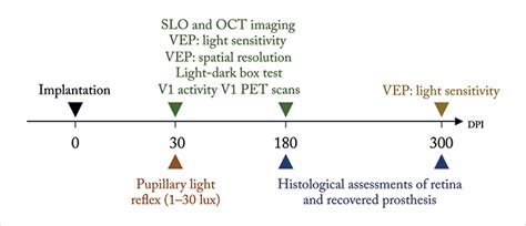 The Ophthalmologist Retinal Prostheses The Next Generation