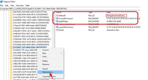 Net MSAL NET Permission Settings Do Not Grant Local Activation