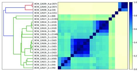 Sample Genome Assembly Comparisons Dna Sequence K Mer 31 Bp Download Scientific Diagram