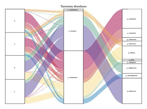 The Sankey Diagram Shows The Relative Abundance Of Bacteria At The