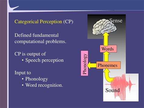 Ppt From Sound To Sense And Back Again The Integration Of Lexical And Speech Processes