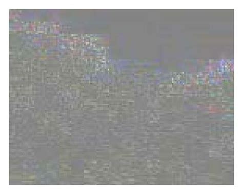 Error Images For Selected Video Streams Download Scientific Diagram