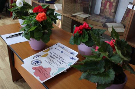 Colegiul Codreanu Exemple De Bune Practici Pentru Două Profesoare Din Franța Pe Tema