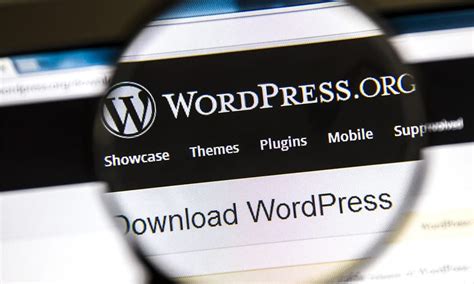 The Best WordPress Plugins The Plug HelloTech
