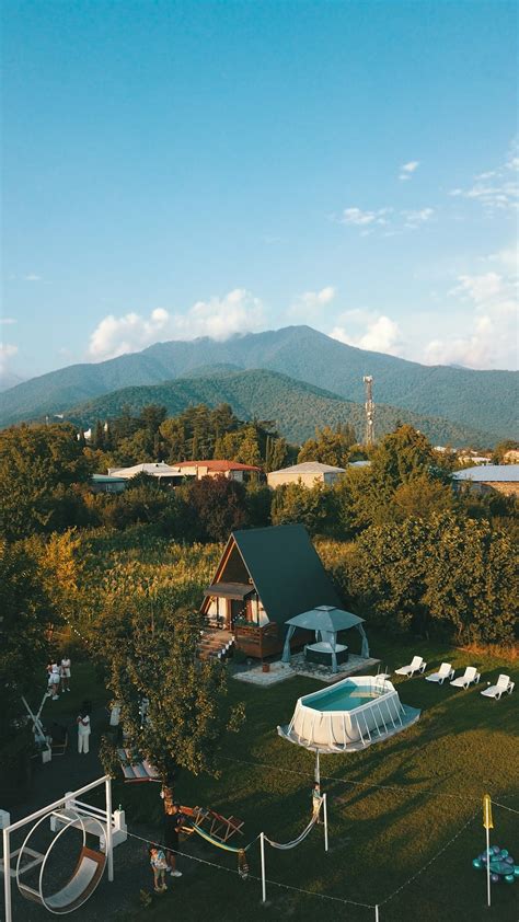 ნინო ხელაშვილი