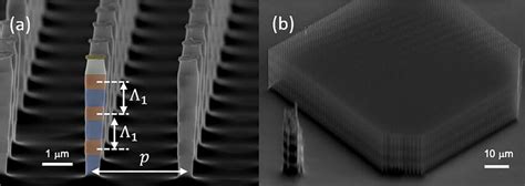A Scanning Electron Microscope Sem Image Of Three Lines Of A Download Scientific Diagram