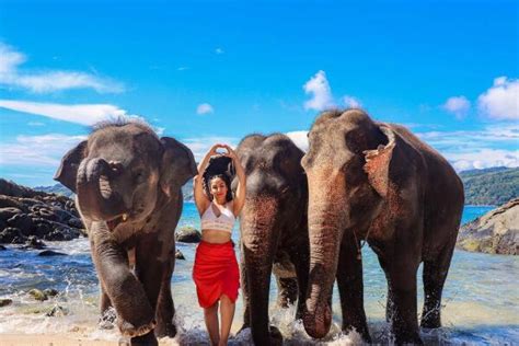Купание со слоном на пляже Тритранг Уникальный опыт на Пхукете Остров Сокровищ