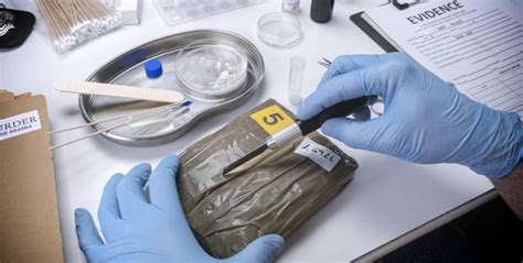 How To Become A Forensic Scientist What You Need To Know