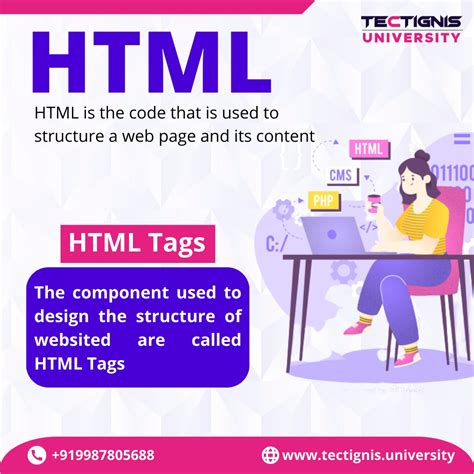 How To Start Web Development Tectignis University