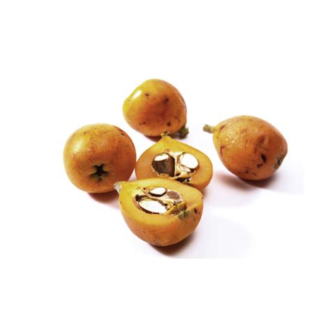Pars Medlar Azgil Kg Persia Food Ltd