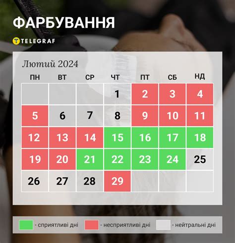 Місячний календар стрижок на лютий 2024 року — коли йти в салон — інфографіка Телеграф