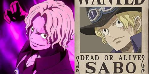One Piece Sabo S New Bounty After Reverie Explained