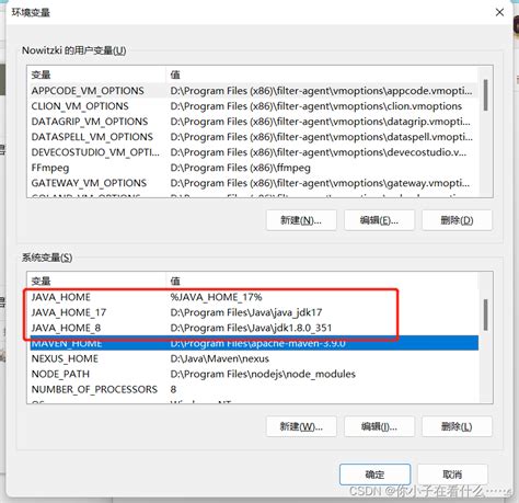 Java Jdk8和jdk17同时存在【环境配置】有jdk17还要下jdk8吗 Csdn博客